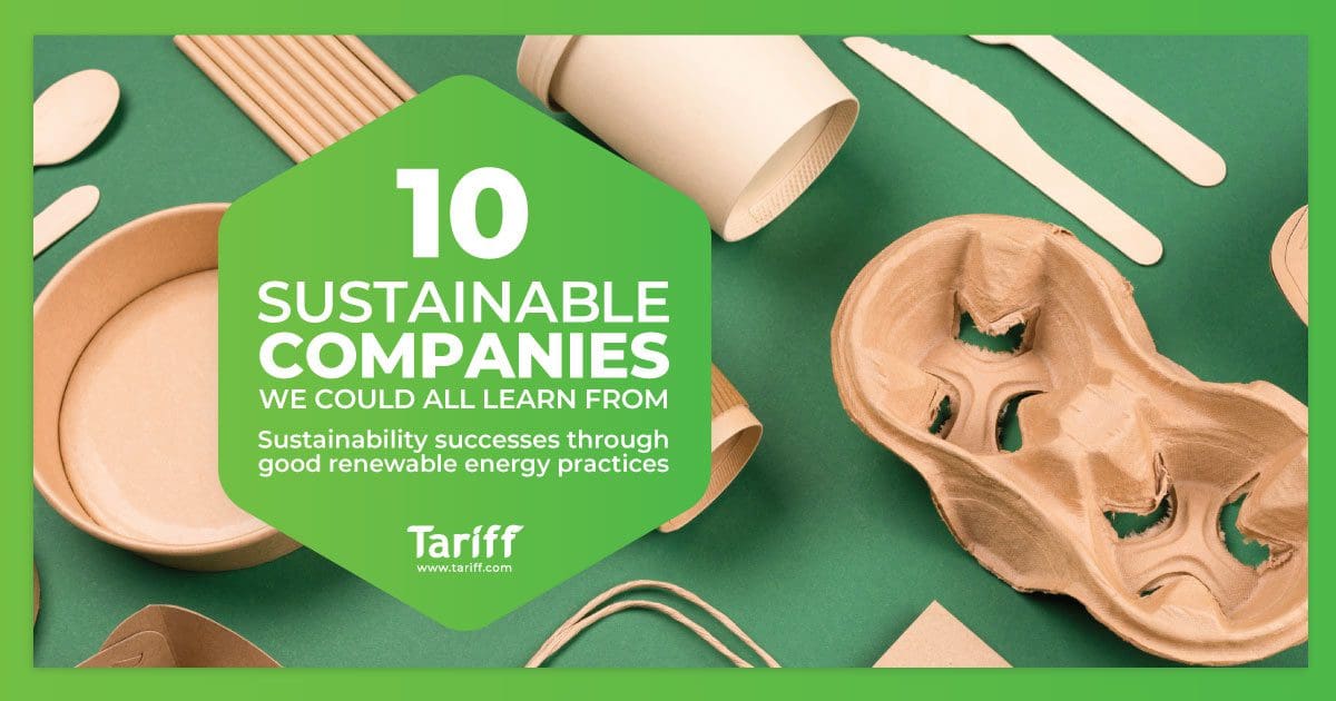 10 Sustainable Companies We Could All Learn From