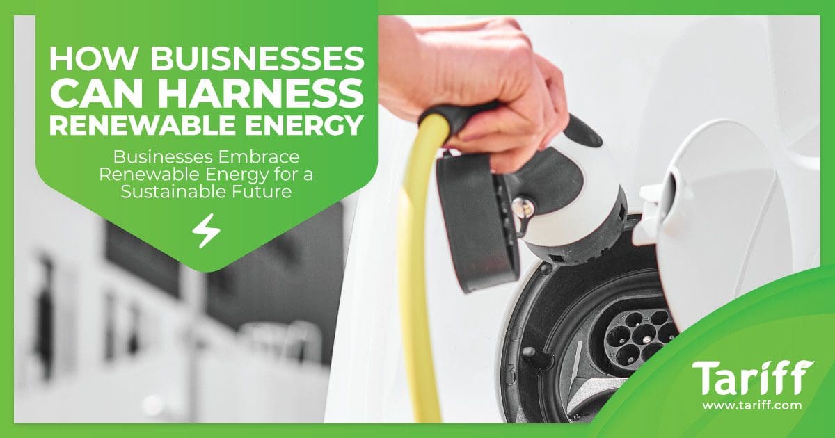 How Businesses Can Harness Renewable Energy